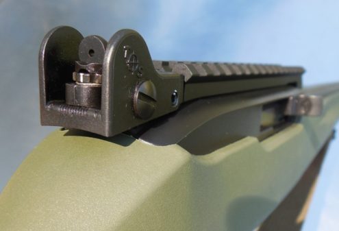 MINI200C Aperture Sight for the Ruger Collector Series 10/22 Rifles ...